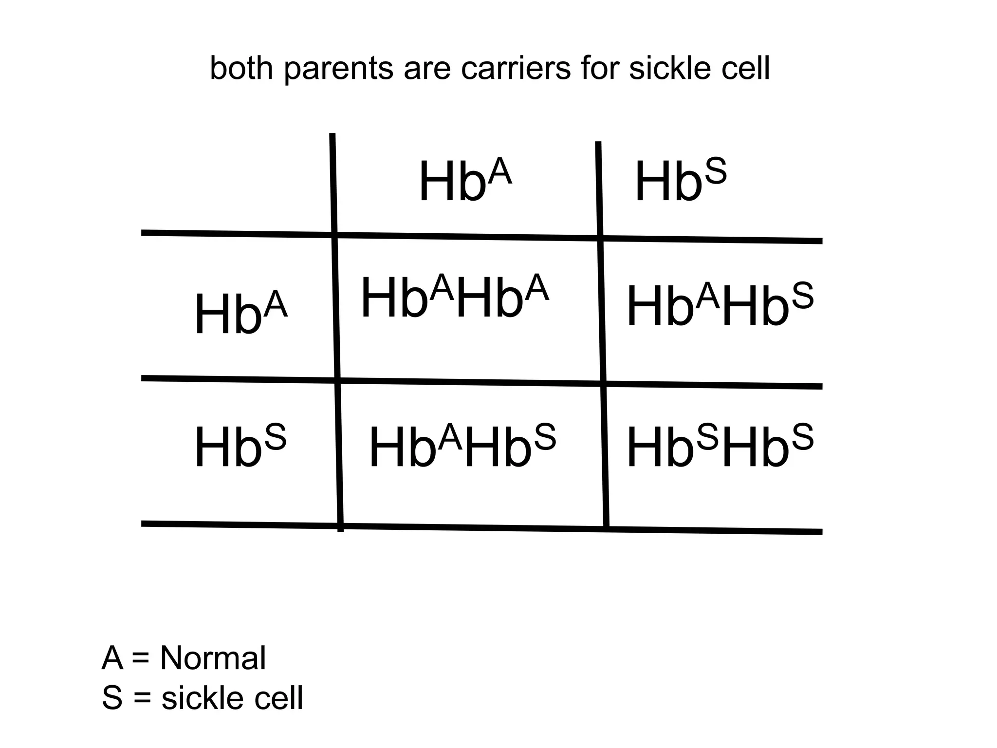 the microscopic structures and functions of Blood.ppt