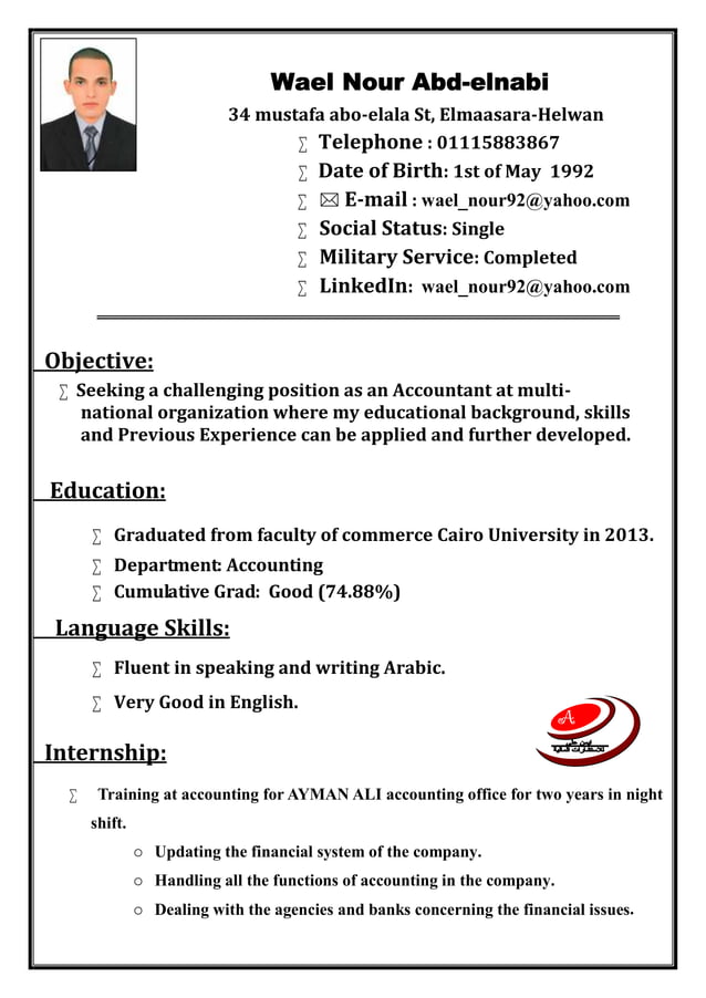 wael resume | PDF