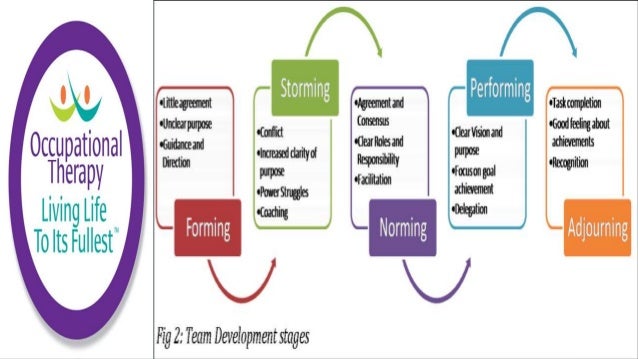 Occupational Therapy Group Process part 1