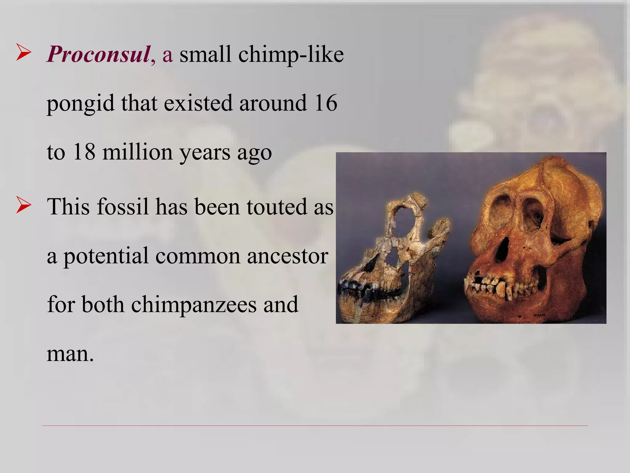 Anthropology and oral health | PPT