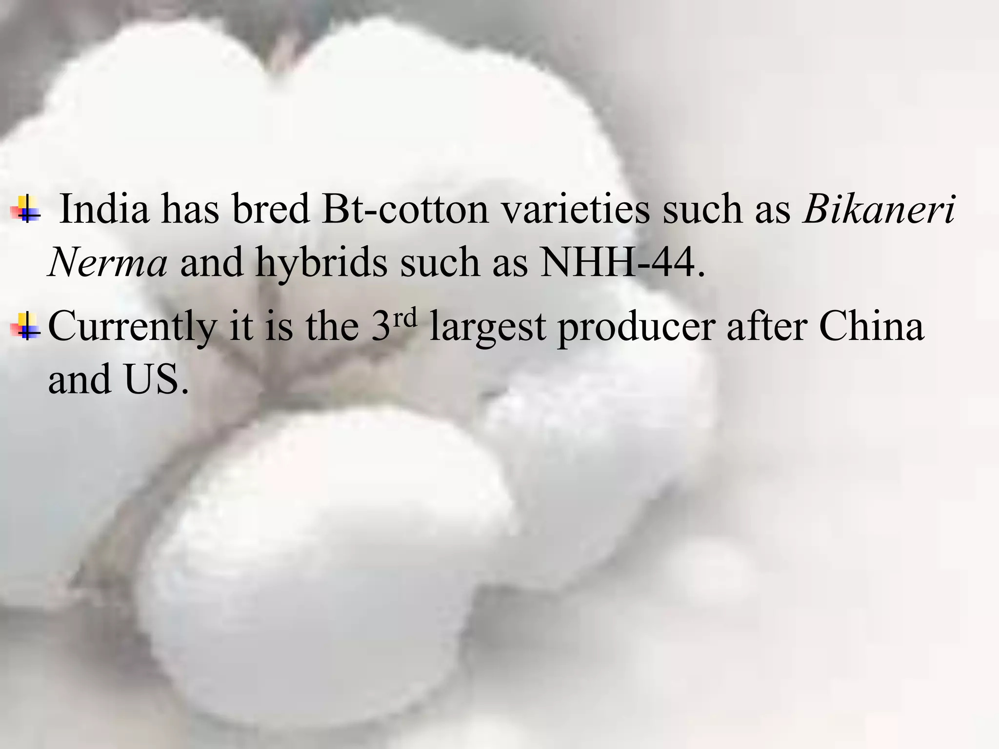 Bt Cotton | PPTX