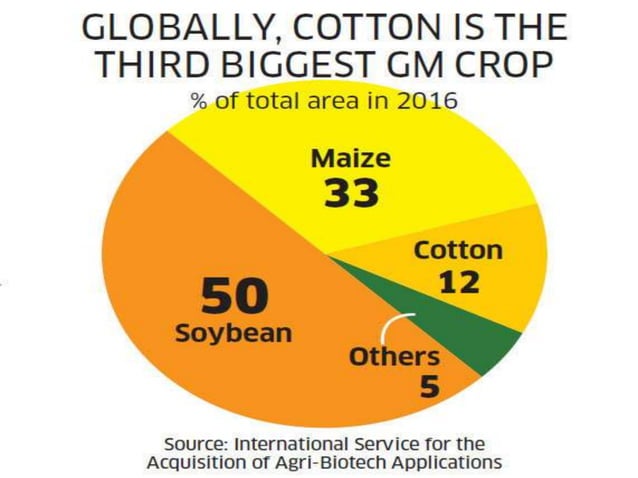 Bt Cotton | PPTX