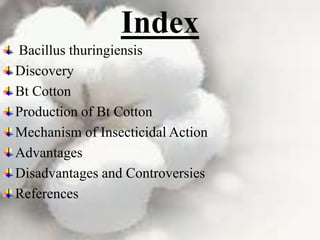 Bt Cotton | PPTX