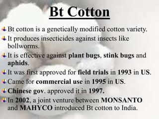 Bt Cotton | PPTX