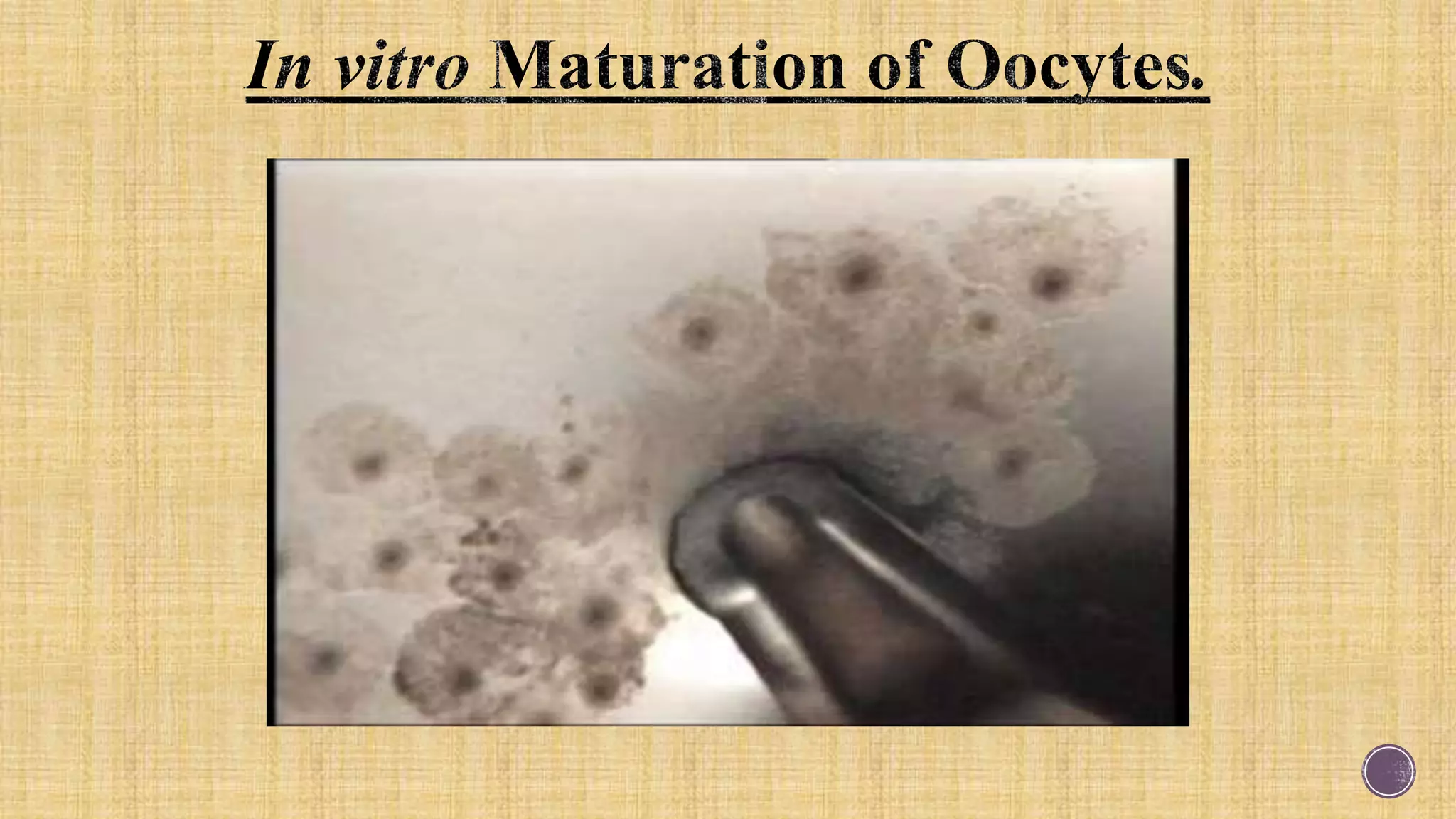 Hand Guided Cloning | PPTX