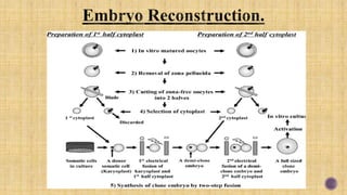 Hand Guided Cloning | PPTX