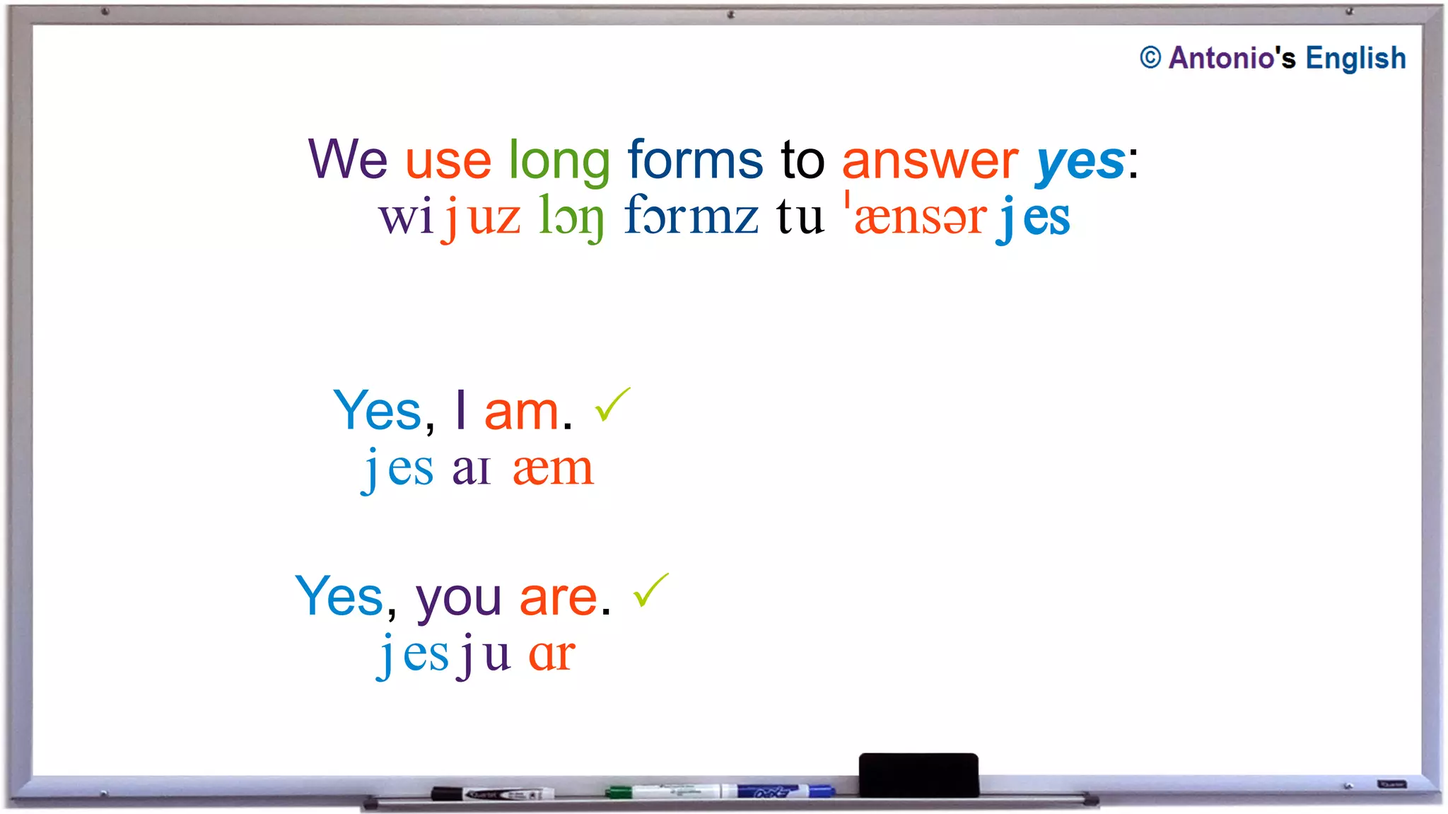 19. Short and long forms - Formas cortas y largas | PDF