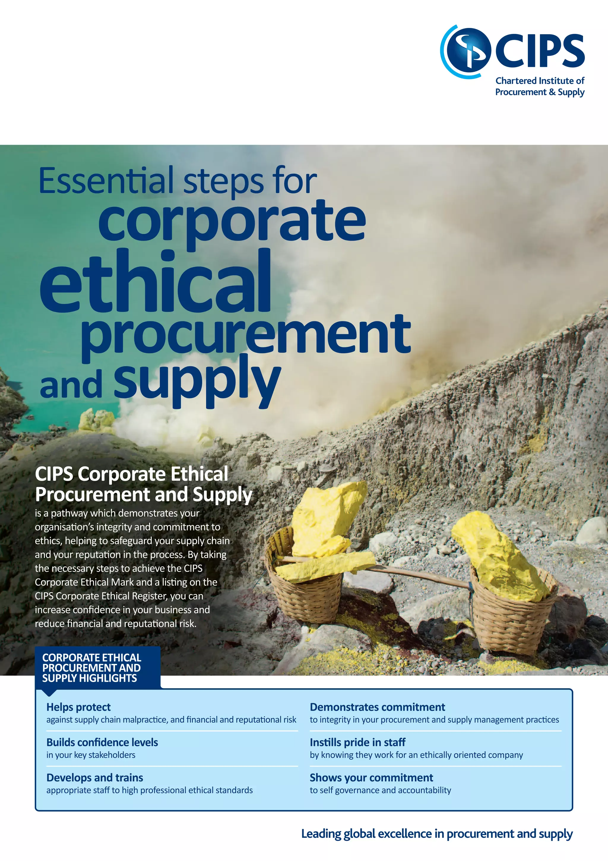 CIPS_CorpEthics_V2_FINAL | PDF
