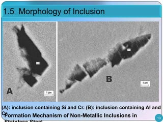 Inclusions In Metals