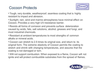 Cocoon Presentation 060915 Clean Rooms | PDF