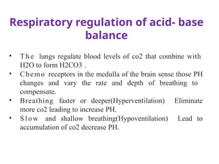 acid-base balance.pptx Acid-base balance refers to the balance between ...
