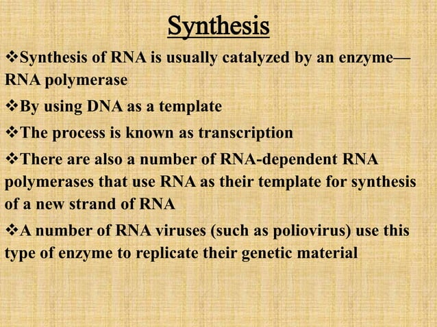 structure types and function of RNA | PPTX