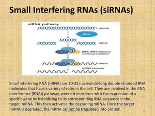 structure types and function of RNA | PPTX