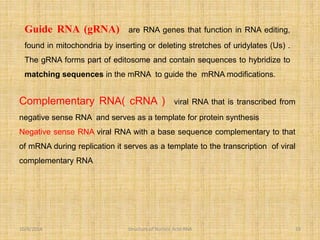structure types and function of RNA | PPTX