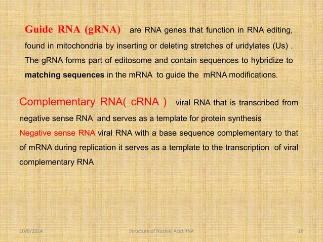 structure types and function of RNA | PPTX
