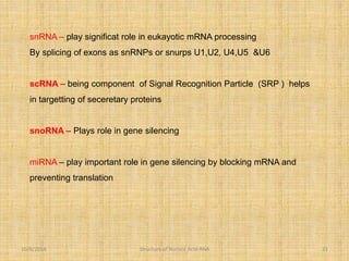 structure types and function of RNA | PPTX