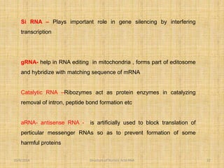 structure types and function of RNA | PPTX