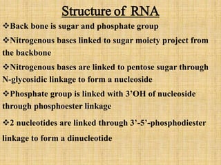 structure types and function of RNA | PPTX