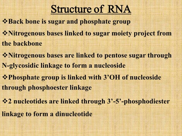 structure types and function of RNA | PPTX