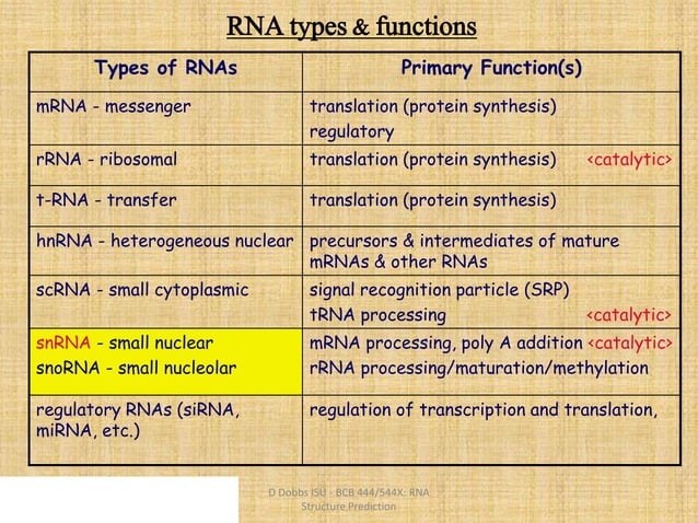 structure types and function of RNA