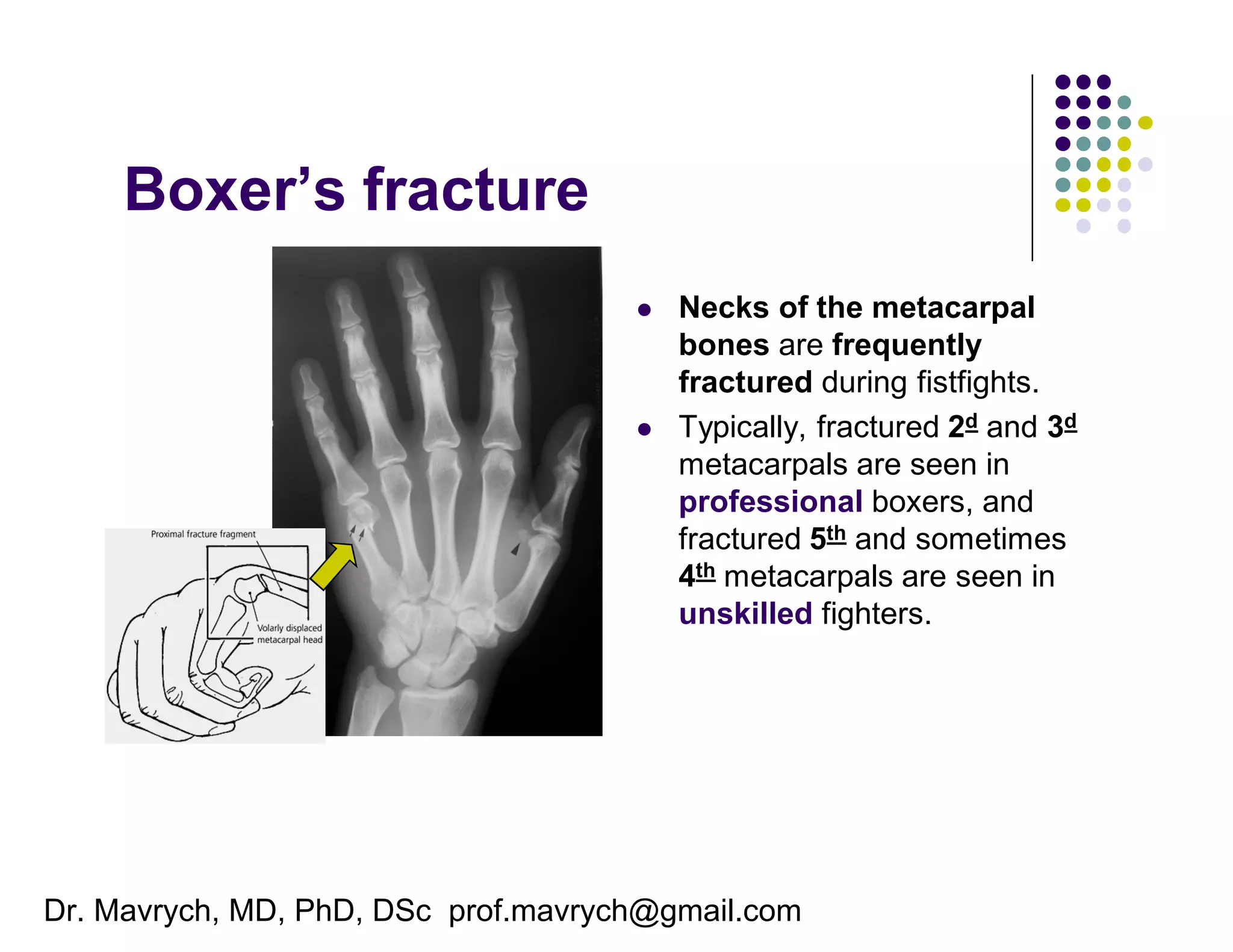 01 Anatomy Shelf Notes.pdf