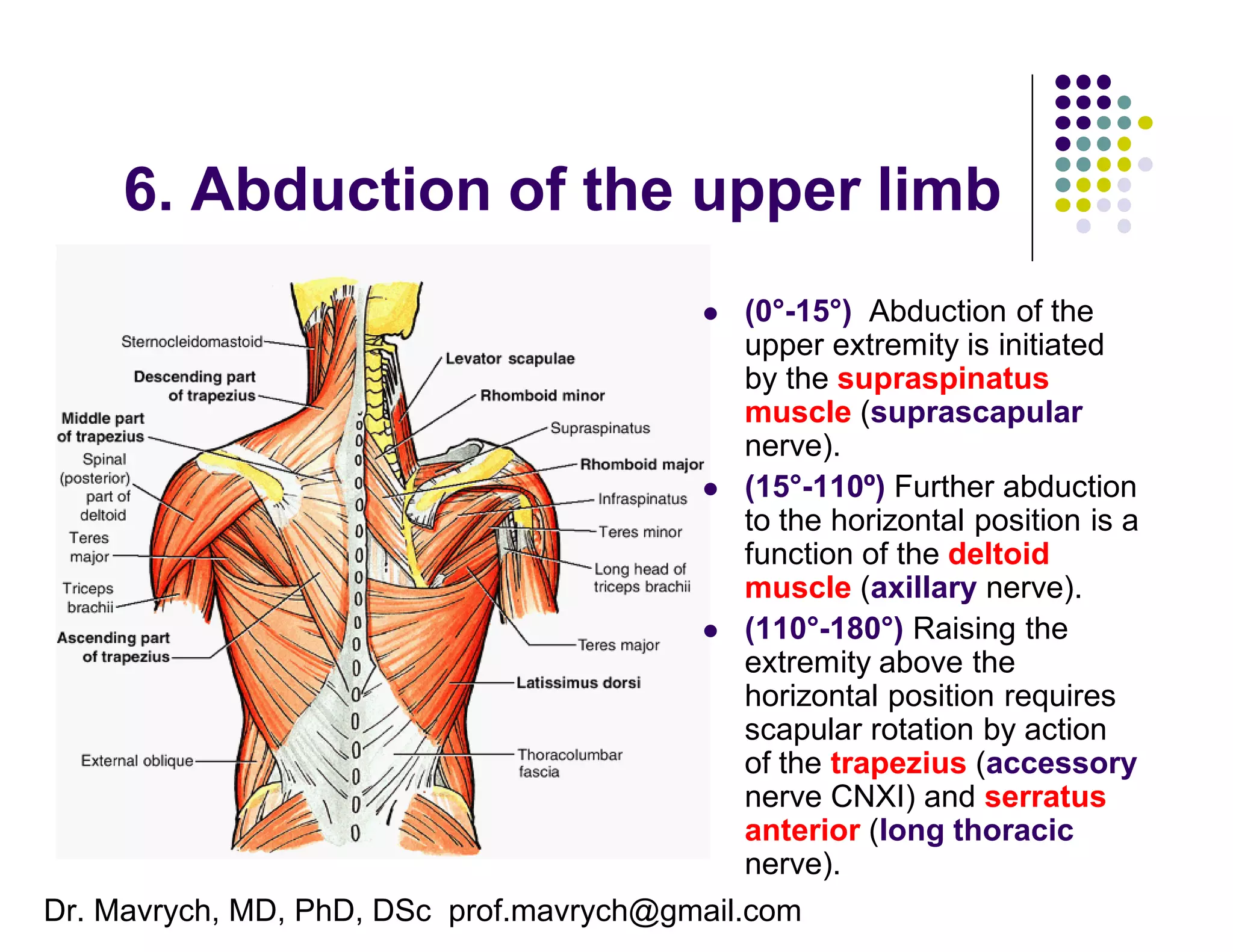 01 Anatomy Shelf Notes.pdf