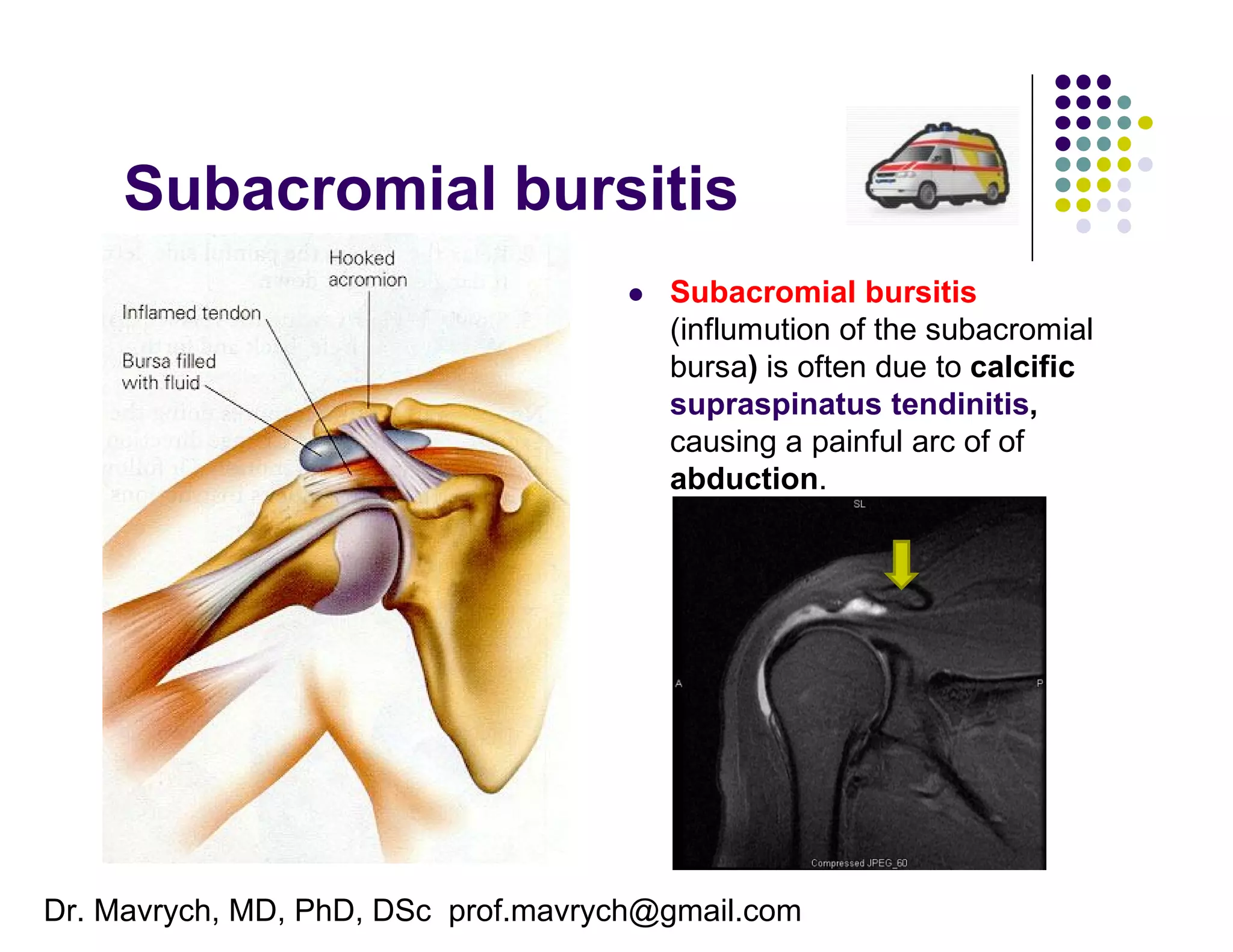 01 Anatomy Shelf Notes.pdf
