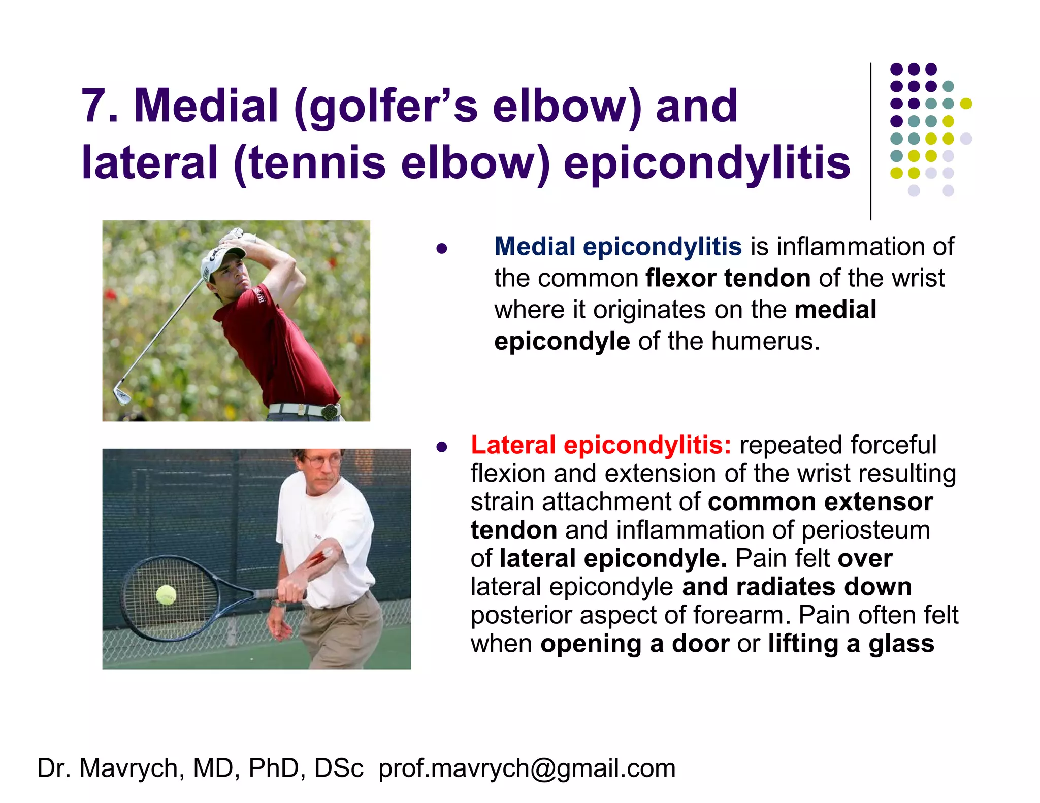 01 Anatomy Shelf Notes.pdf