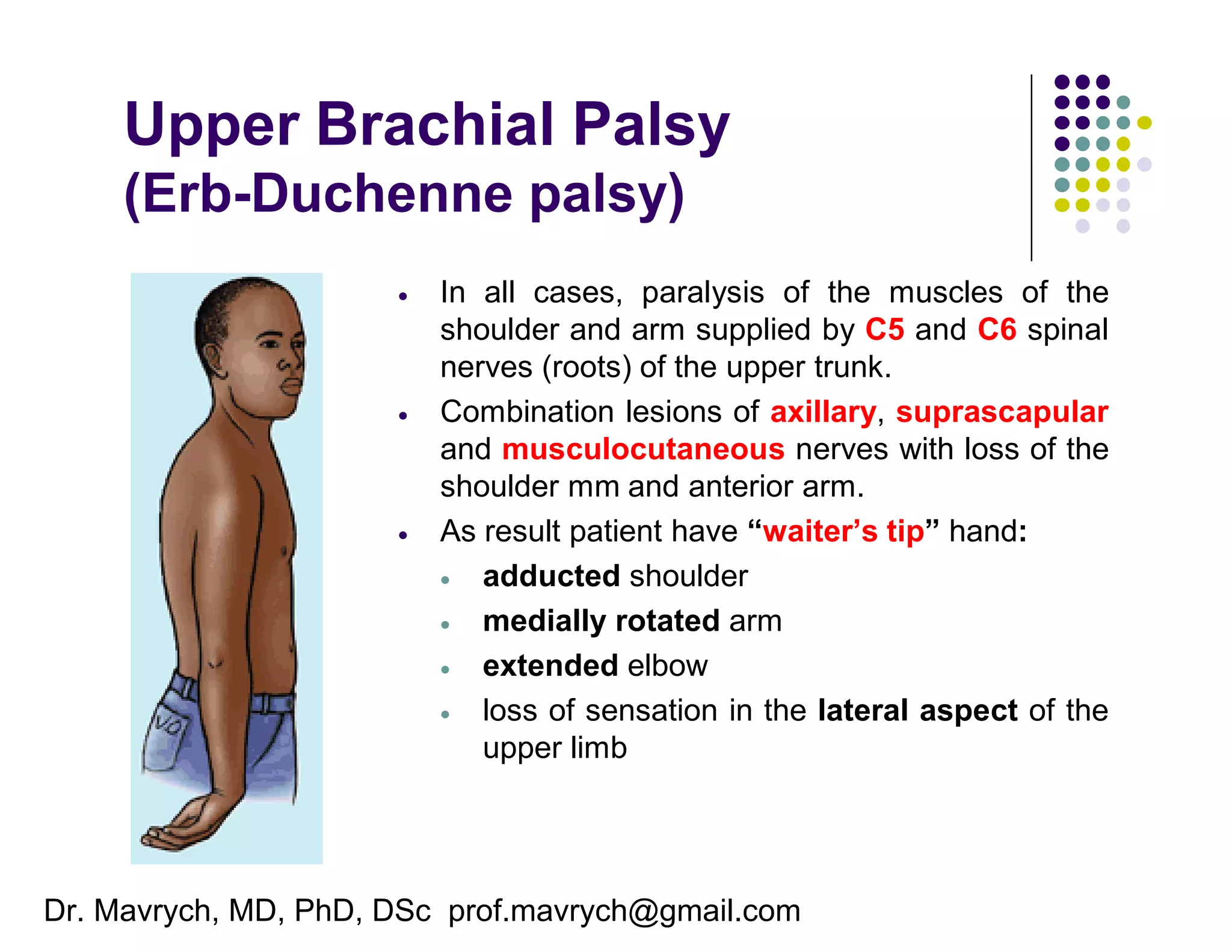 01 Anatomy Shelf Notes.pdf