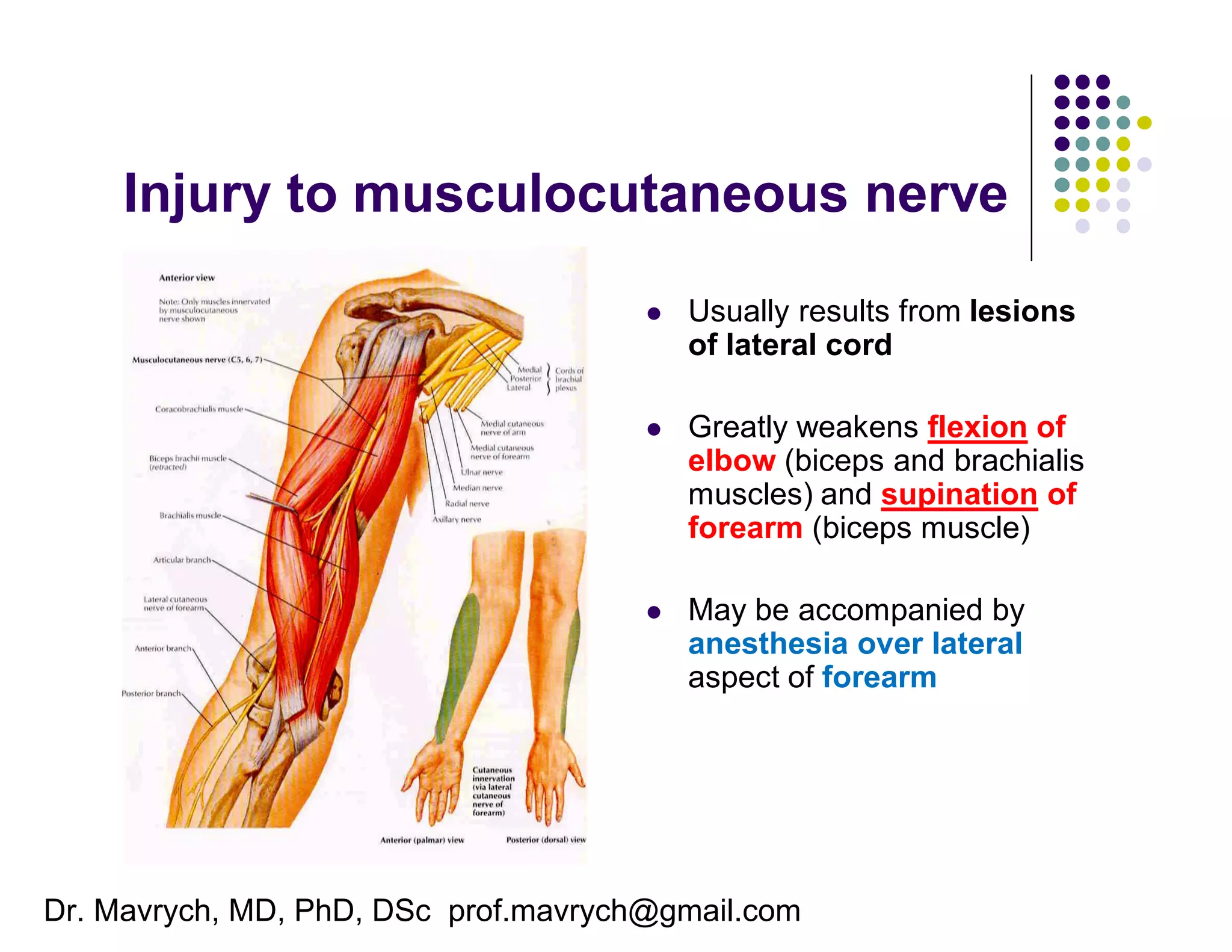 01 Anatomy Shelf Notes.pdf