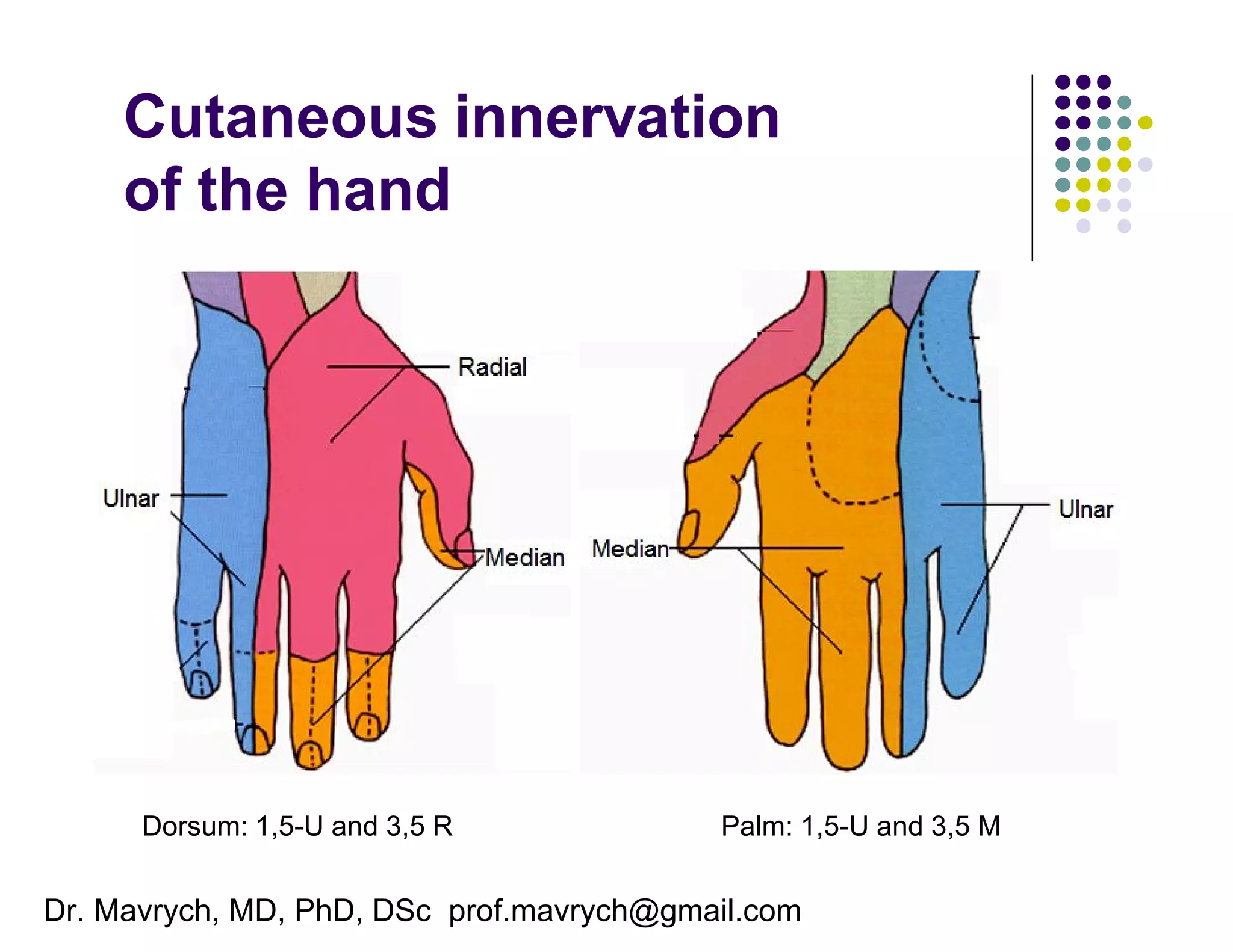 01 Anatomy Shelf Notes.pdf