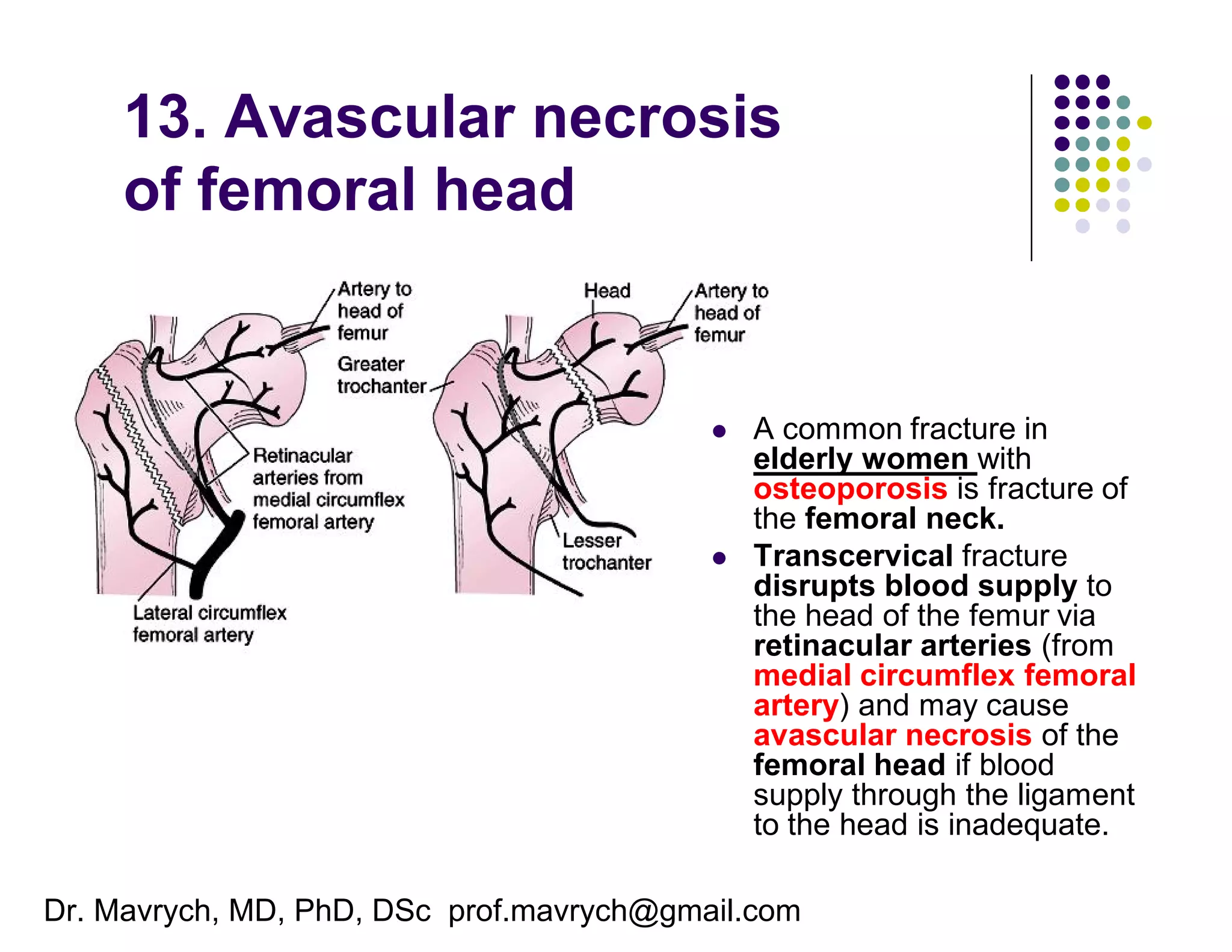 01 Anatomy Shelf Notes.pdf