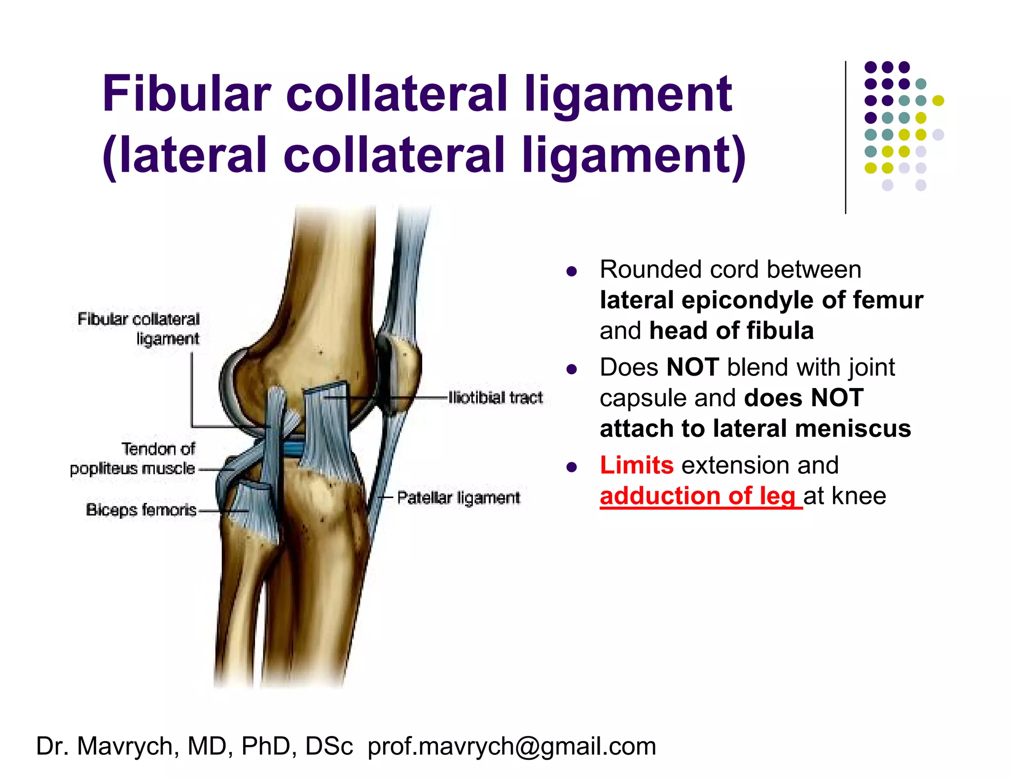 01 Anatomy Shelf Notes.pdf