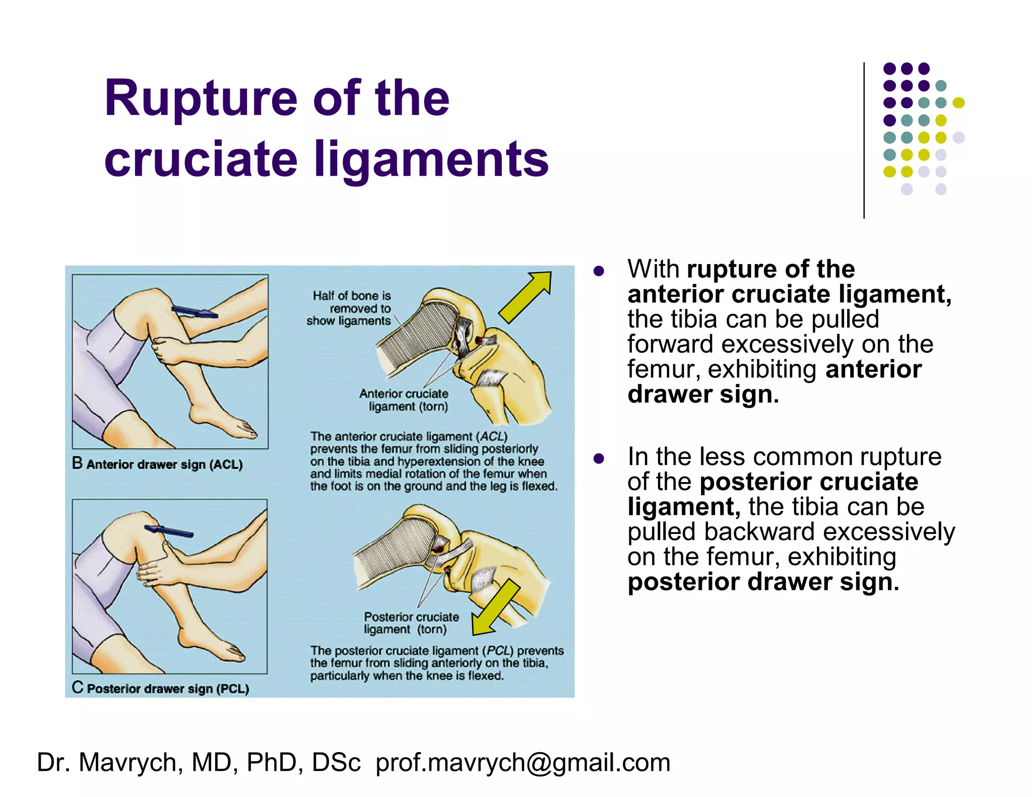 01 Anatomy Shelf Notes.pdf