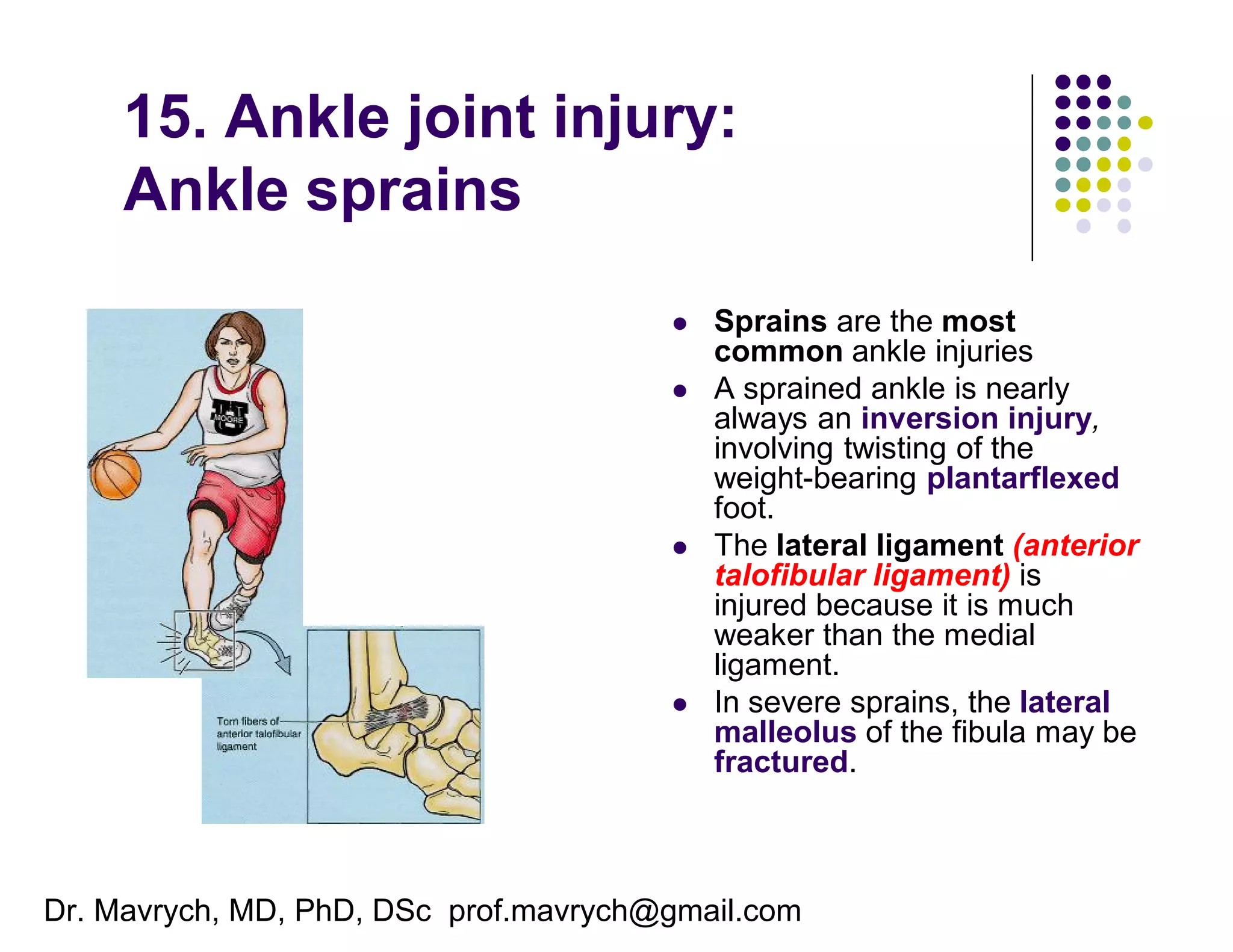 01 Anatomy Shelf Notes.pdf