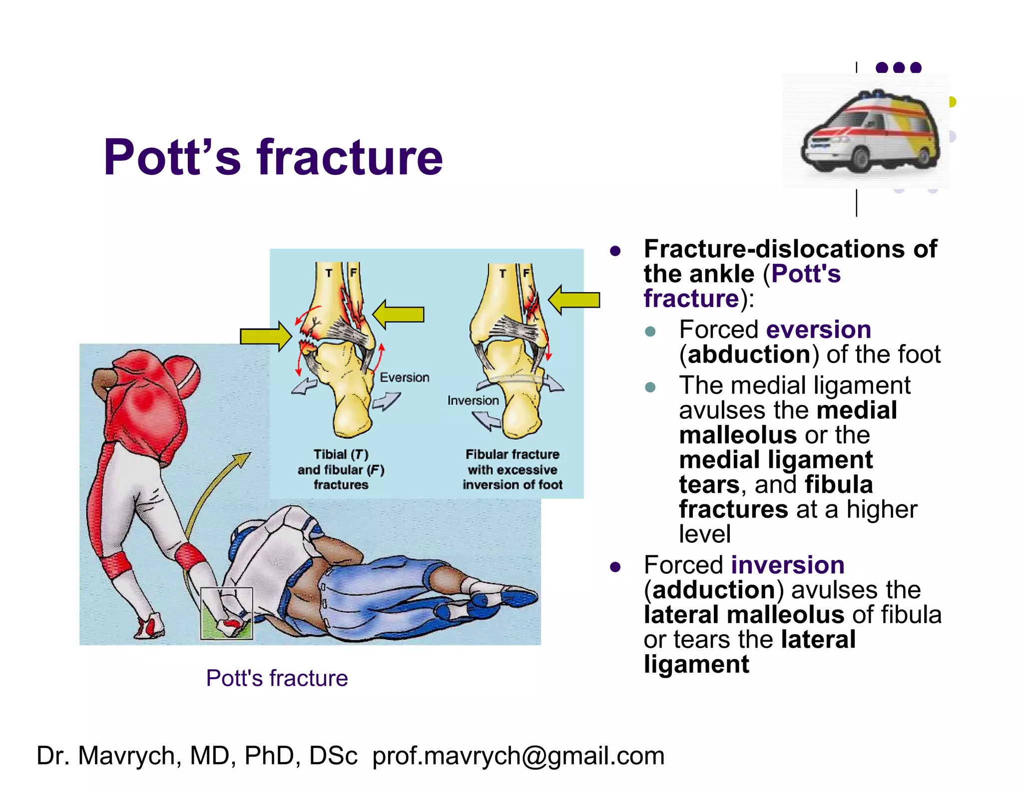 01 Anatomy Shelf Notes.pdf