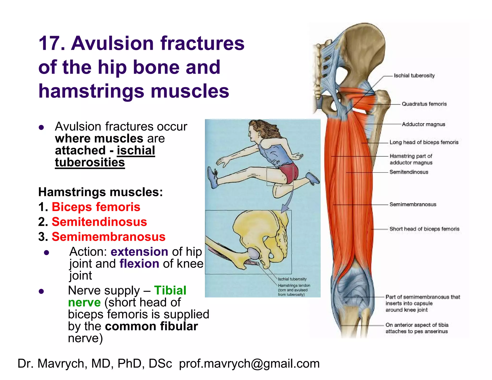 01 Anatomy Shelf Notes.pdf