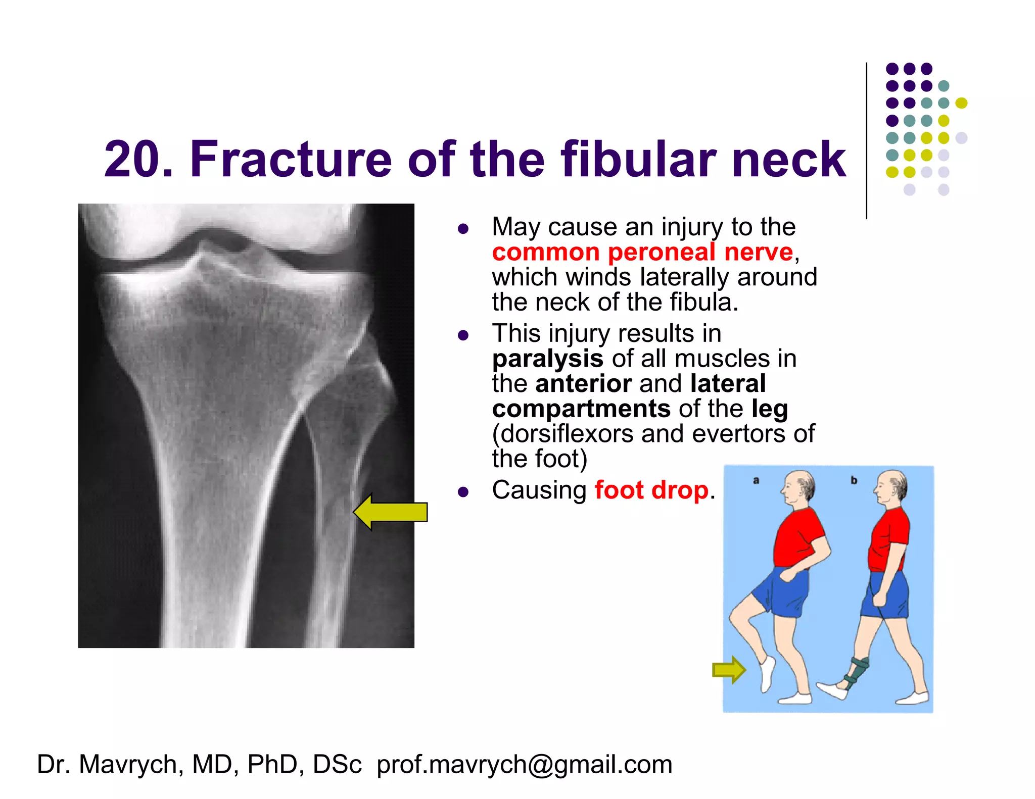 01 Anatomy Shelf Notes.pdf