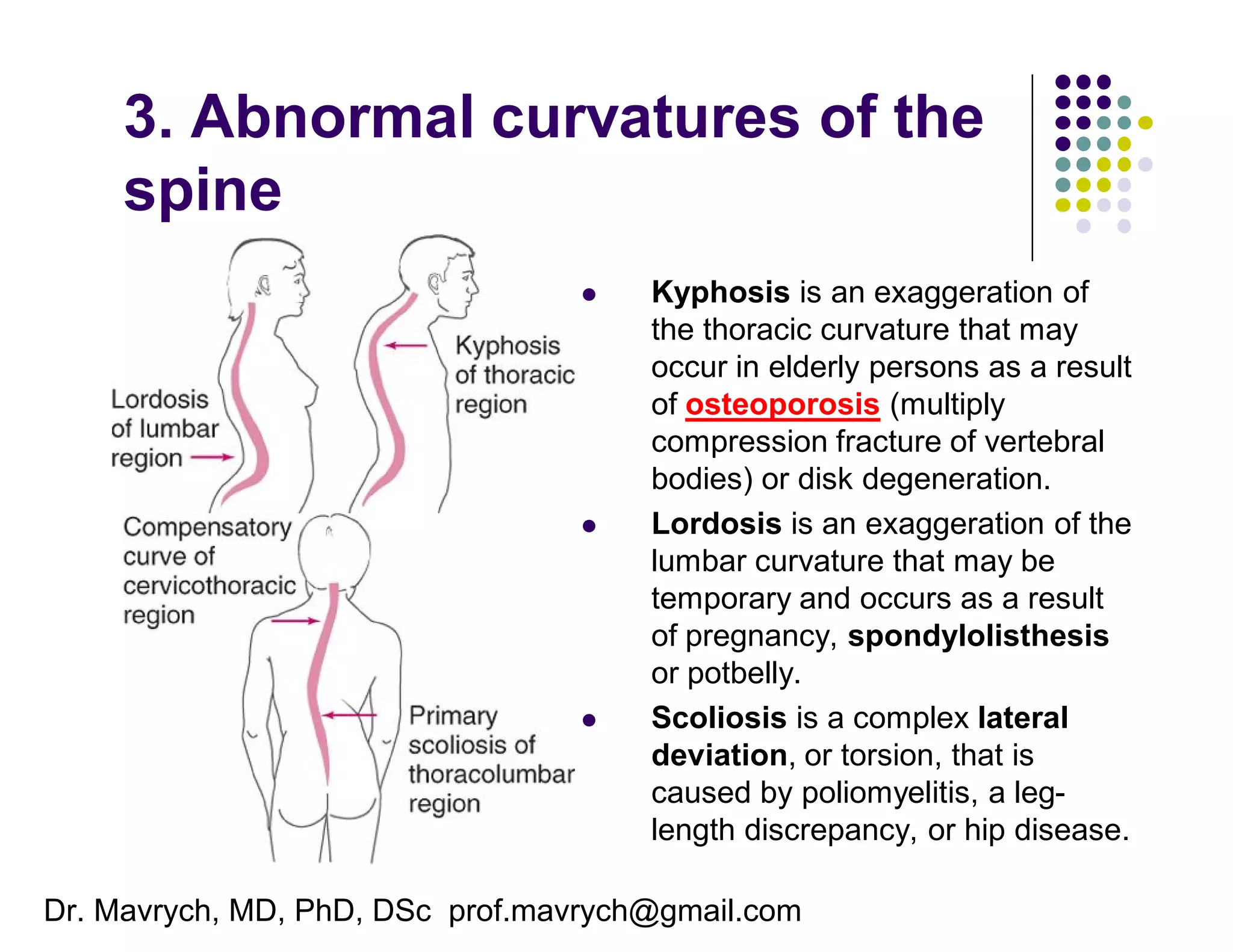 01 Anatomy Shelf Notes.pdf
