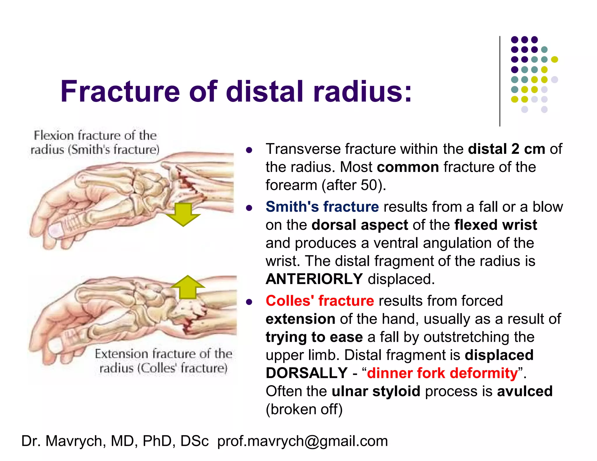 01 Anatomy Shelf Notes.pdf