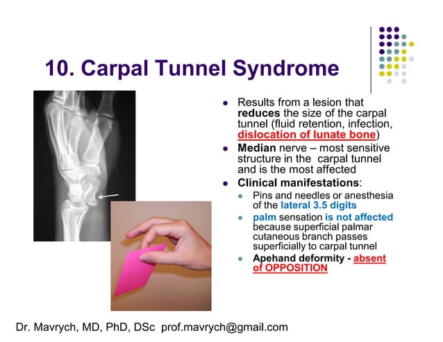 01 Anatomy Shelf Notes.pdf | Death, Injury, or Military Conflict ...