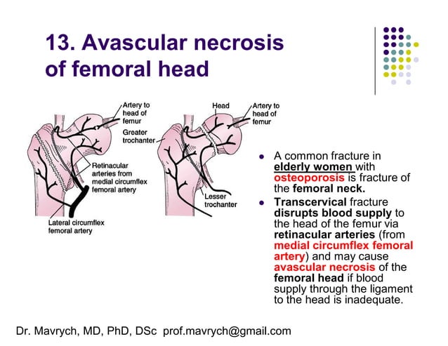 01 Anatomy Shelf Notes.pdf | Death, Injury, or Military Conflict ...