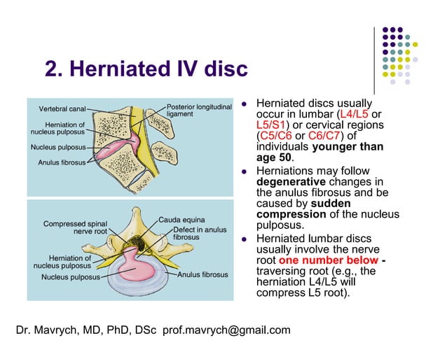 01 Anatomy Shelf Notes.pdf | Death, Injury, or Military Conflict ...
