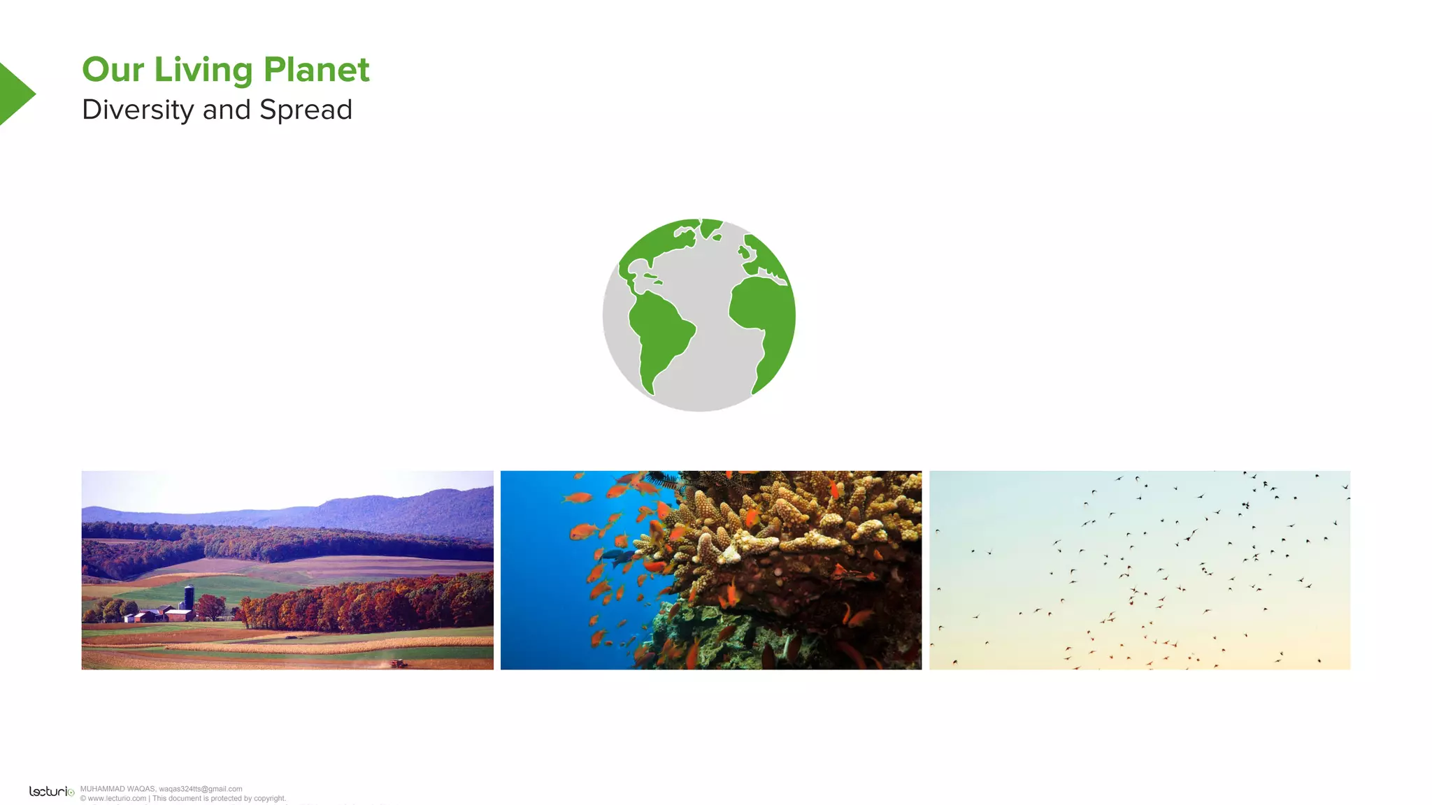 01 basic course_overview_introduction_to_biochemistry | PDF