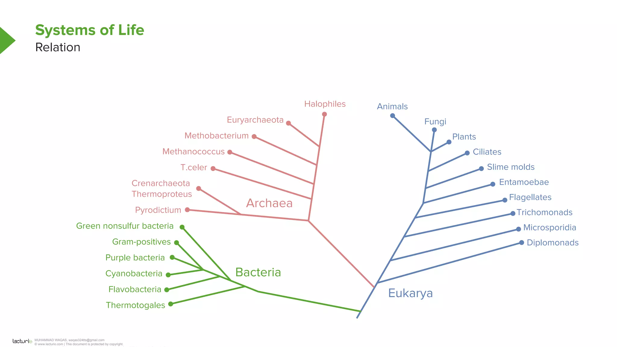 01 basic course_overview_introduction_to_biochemistry | PPT