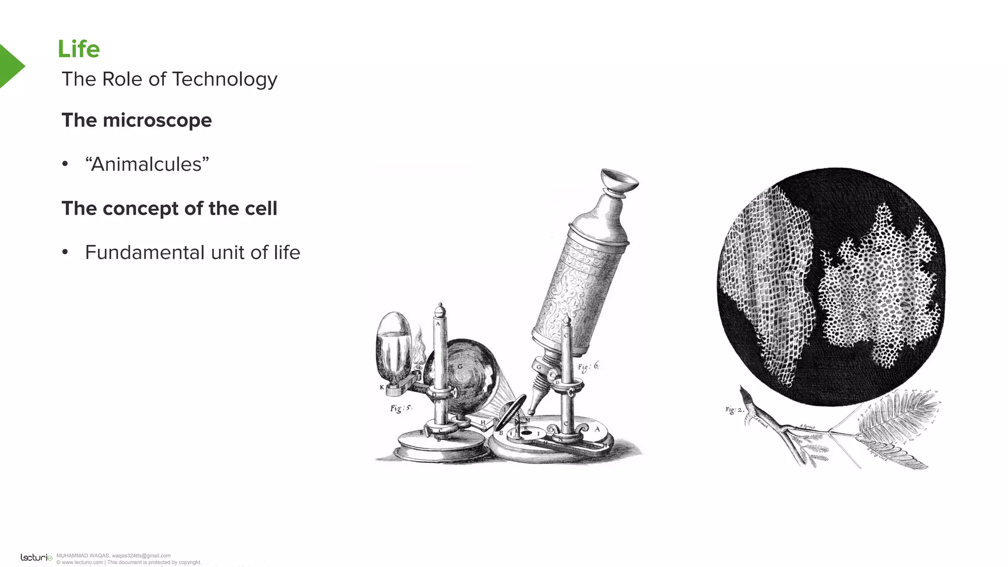 01 basic course_overview_introduction_to_biochemistry | PDF