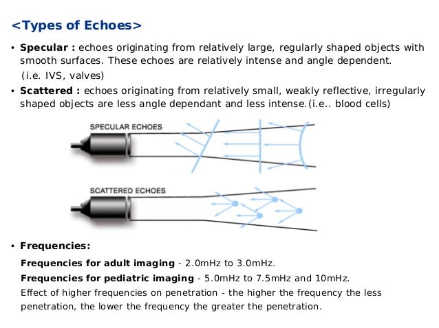01 basic principles of ultrasound & basic term