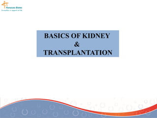 01 Basics of Kidney PPT 27.pptx which contains ckd | PPTX