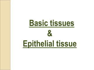 01 Basic tissue - epithelial tissue.ppsx