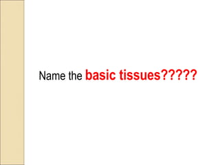 01 Basic tissue - epithelial tissue.ppsx